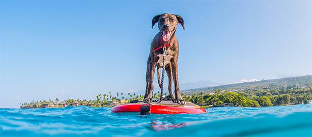 Live Events | Calabrio